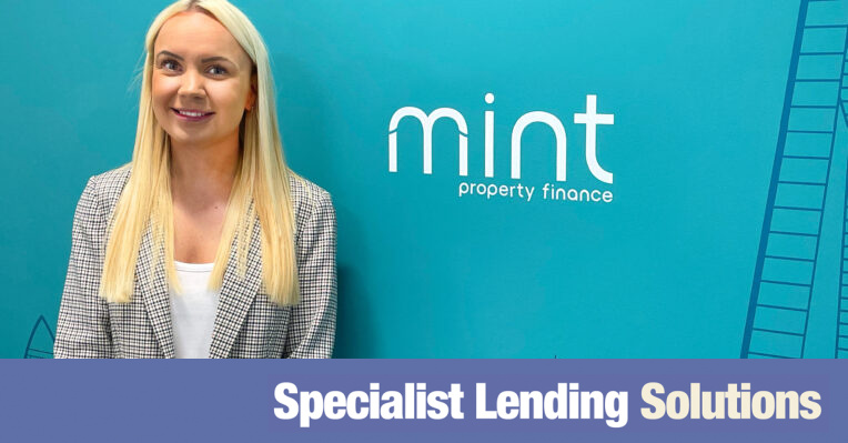Mint Property Finance appoints Lamb as bridging underwriter - Mortgage ...